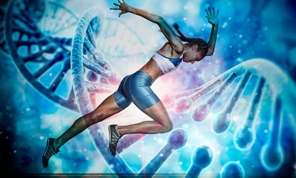 Sport Genetics